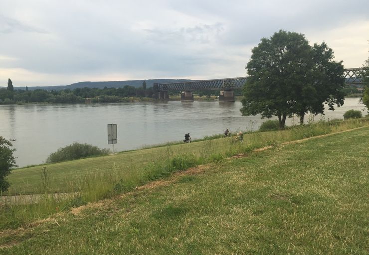 Wohnmobilhafen Urmitz in Urmitz – promobil