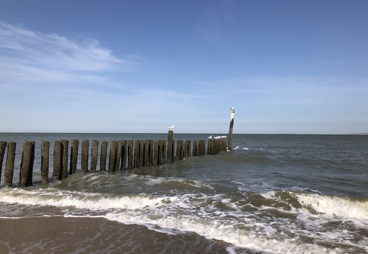 Strandcamping Groede in Groede – PROMOBIL