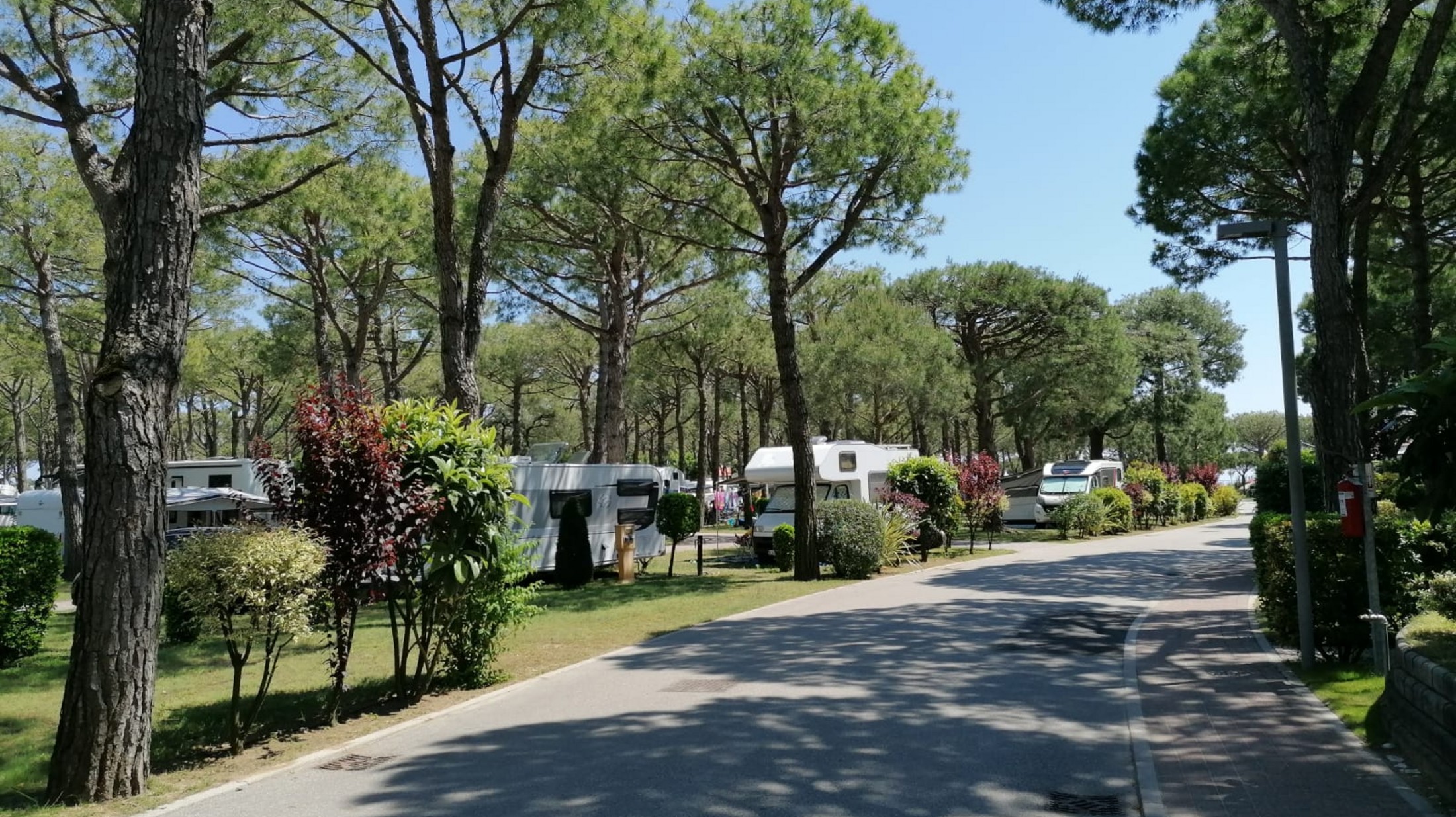 Camping Enzo Stella Maris