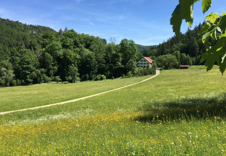 Wohnmobilstellplatz am Kloster Beuron in Beuron – promobil