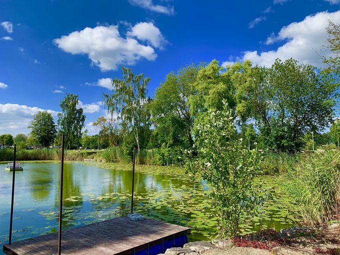 Wohnmobilhafen Bischberg in Bischberg – promobil