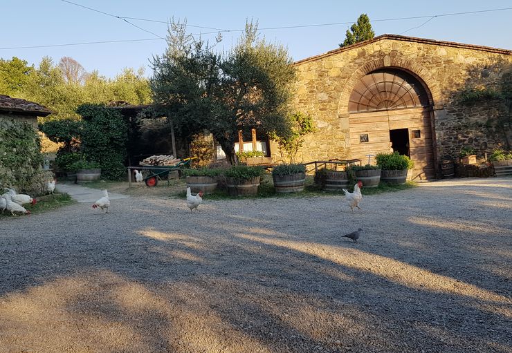 Fattoria La Vialla (kostenlos) in Castiglion Fibocchi – promobil