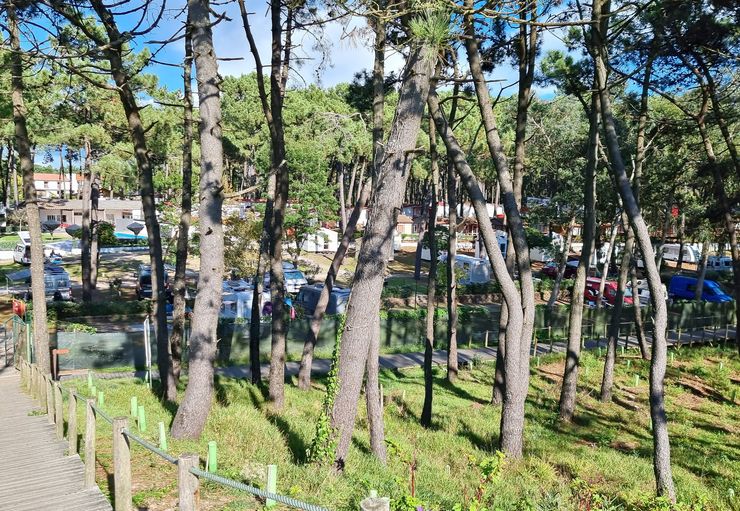 Orbitur-Camping Viana do Castelo (kostenlos) in Darque – promobil