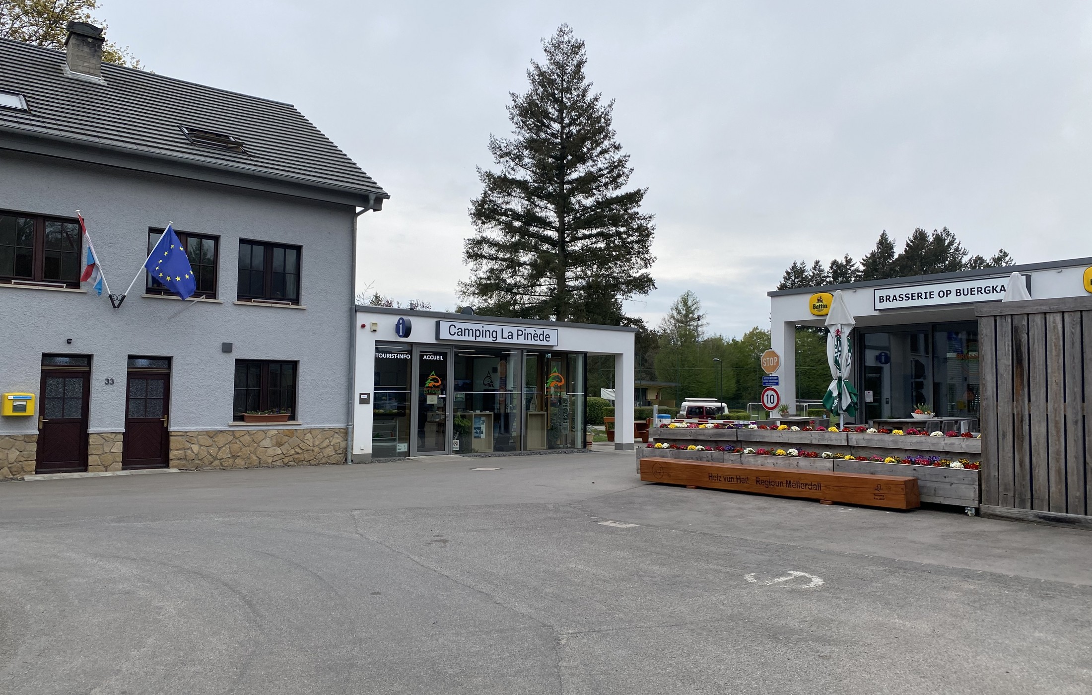 Camping Officiel La Pinede Asbl (kostenlos) in Consdorf – promobil