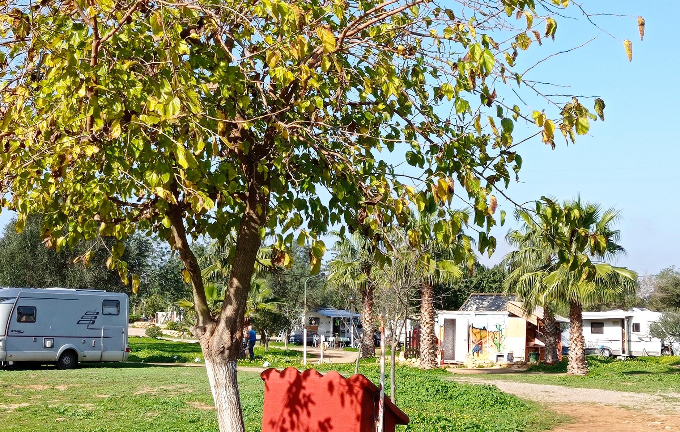 Camping Route 66 in Moncarapacho – promobil