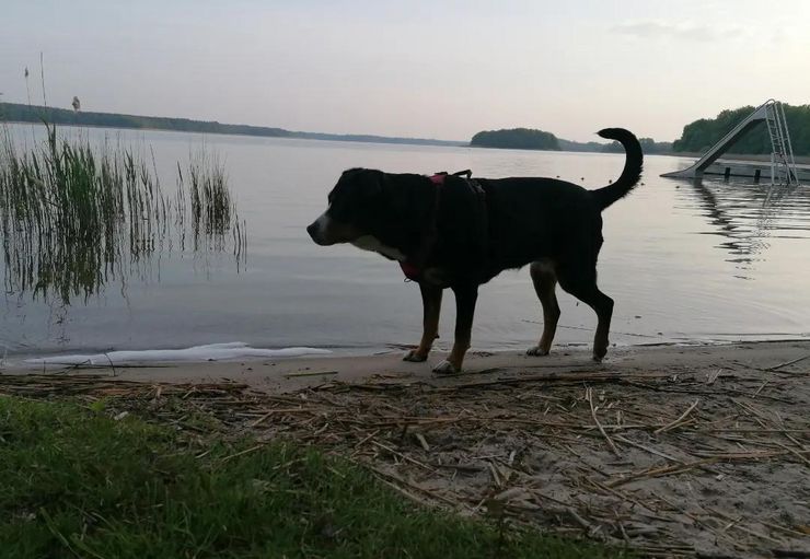 Camping und mehr Useriner Mühle in Userin – outdoor-magazin.com