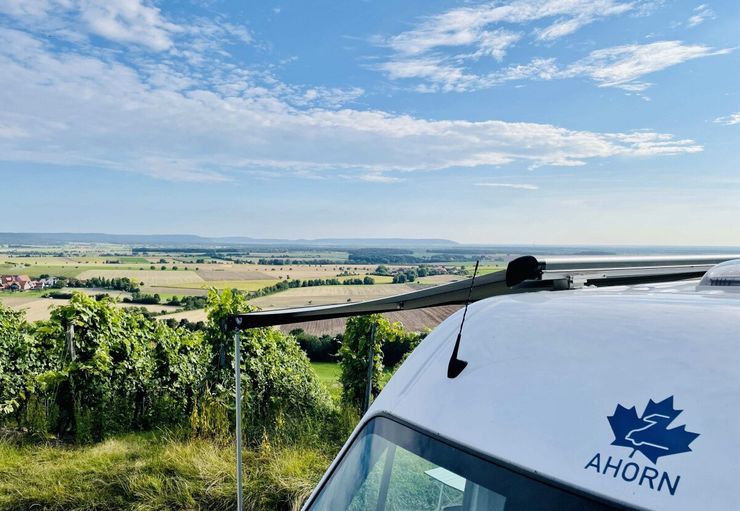 Weitblick über den Reben von Wiebelsberg in Oberschwarzach – promobil